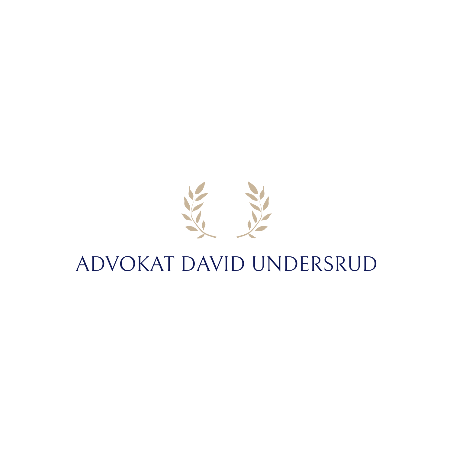 Lawyer David Undersrud | Advokatguiden